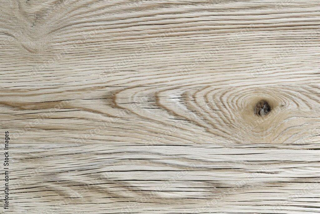 White oak wood grain Illustraion - FileFountain