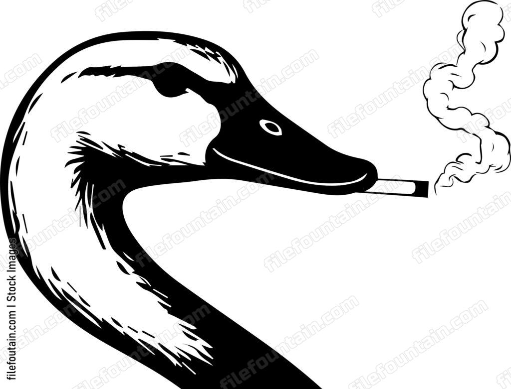 Goose Smoking A Cigar Logo Vector Design - FileFountain