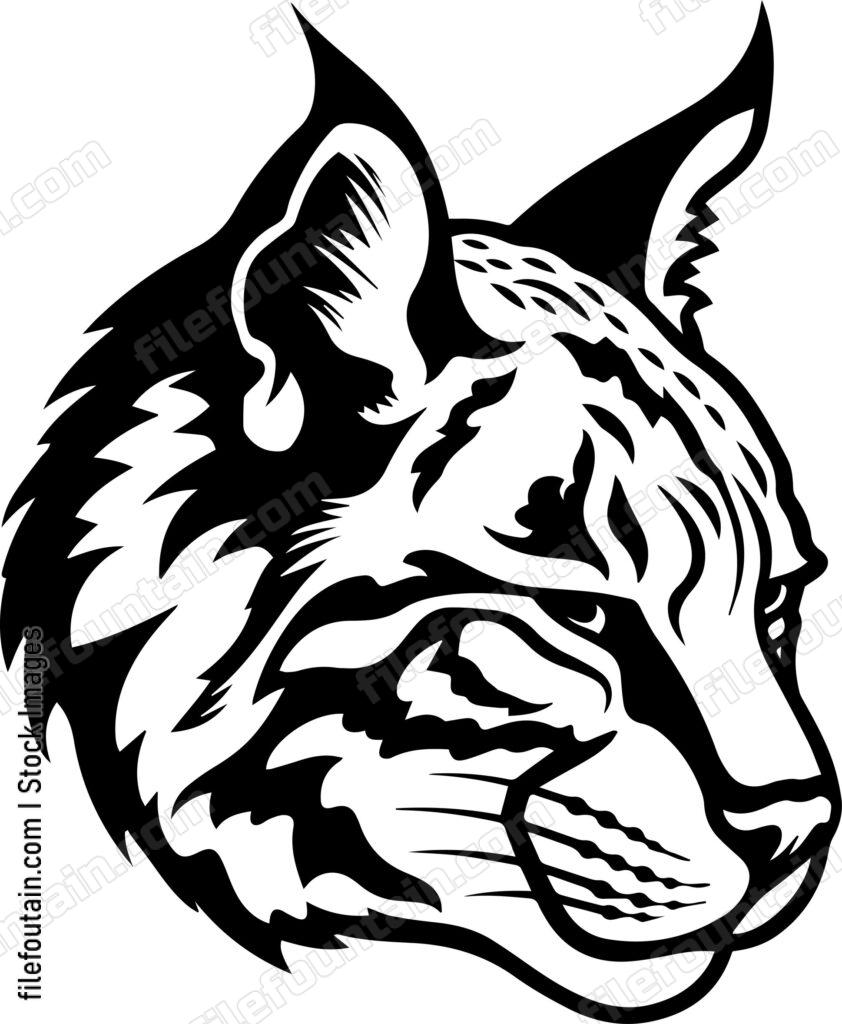 Bobcat Logo Vector Design - FileFountain