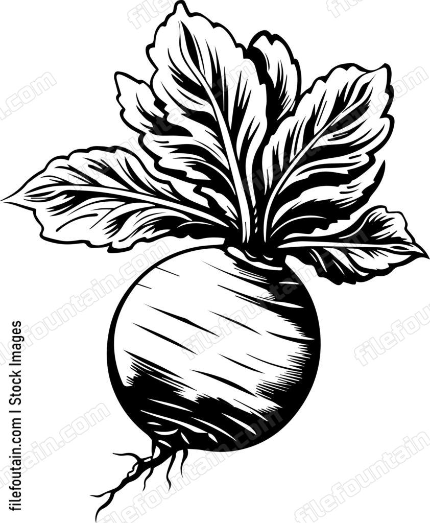 Beet Logo Vector Design - FileFountain