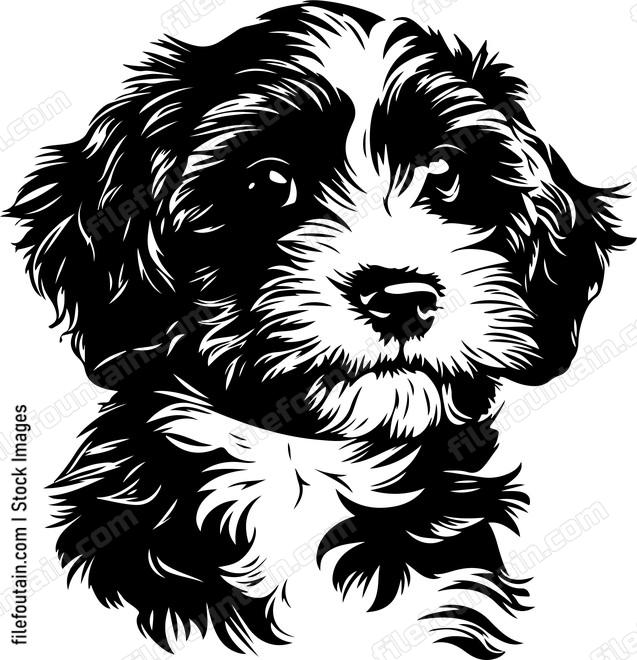 Cavapoo Logo Vector Design - FileFountain