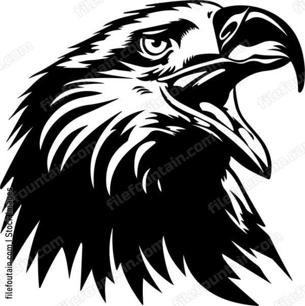 Screaming Bald Eagle Logo Vector Design - FileFountain